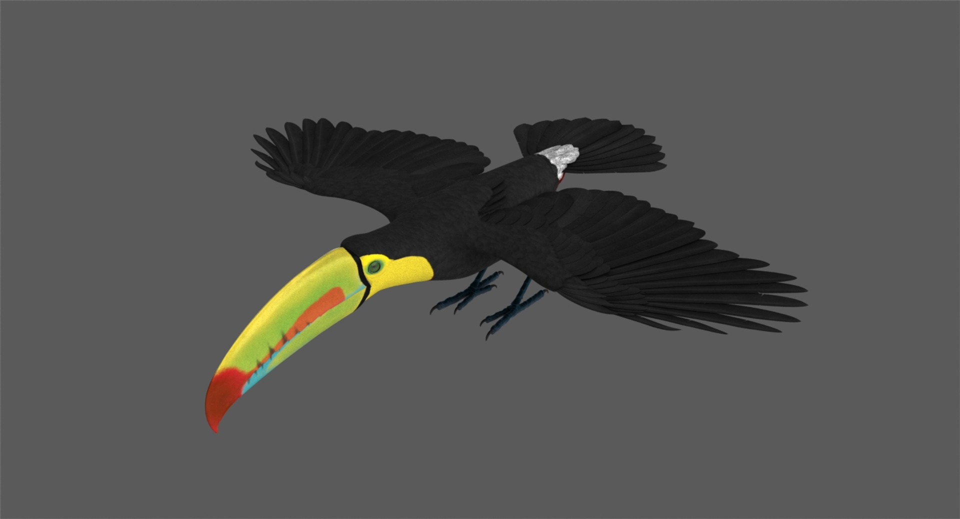 Rigged keel-billed toucan model - TurboSquid 1307358