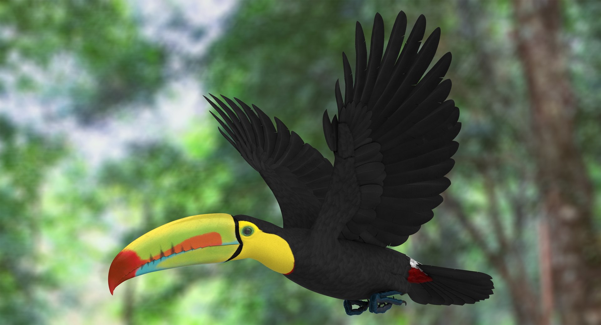 Rigged keel-billed toucan model - TurboSquid 1307358
