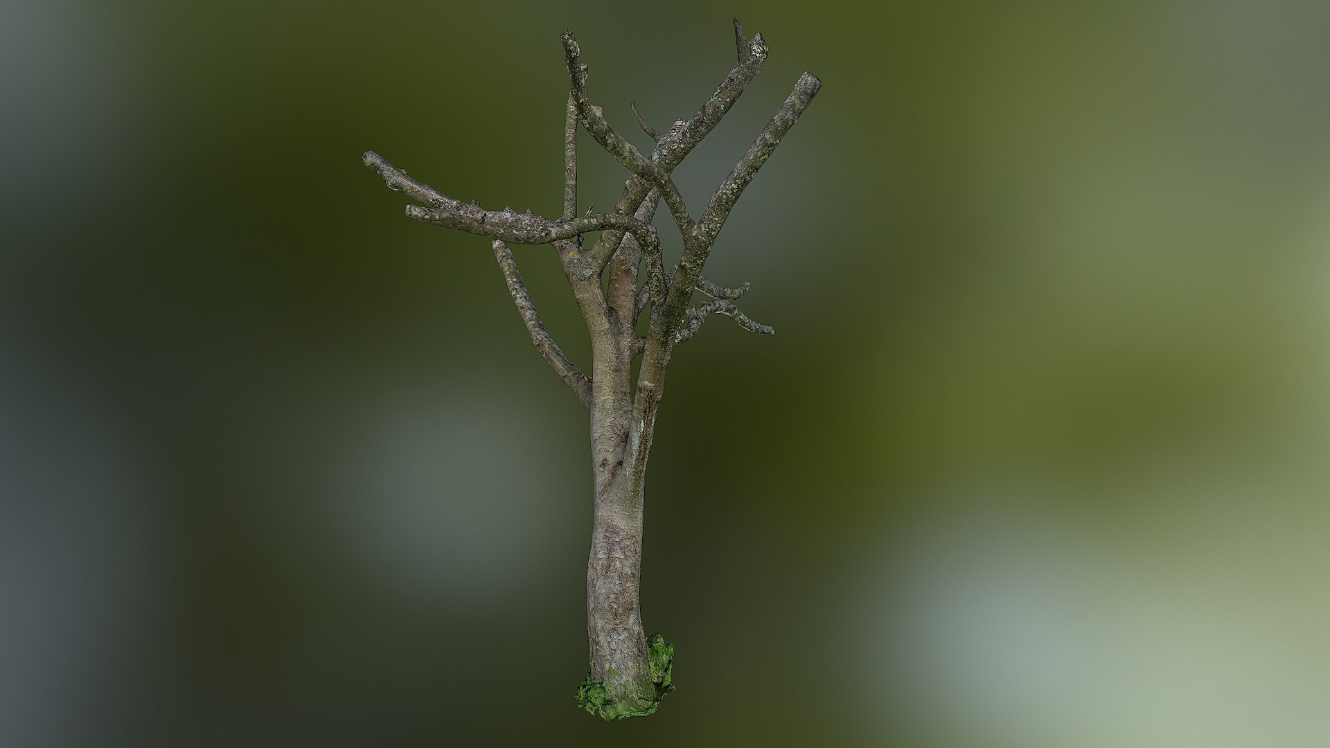 3D Model Games Tree - TurboSquid 1278516