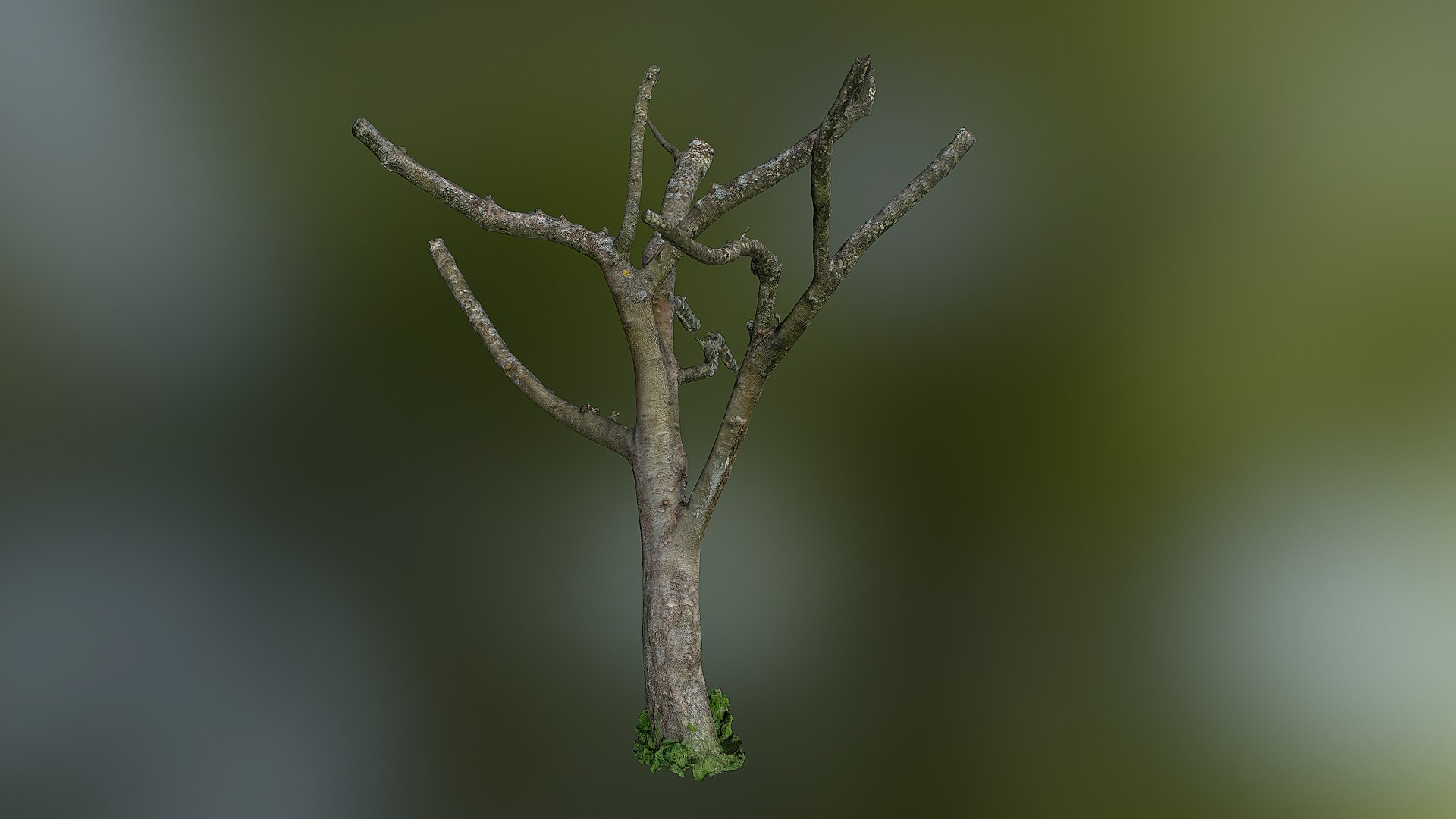 3D Model Games Tree - TurboSquid 1278516