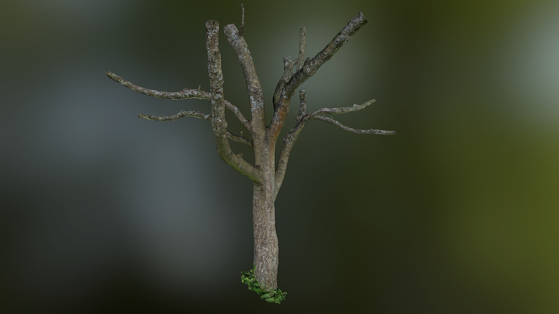 3D Model Games Tree - TurboSquid 1278516