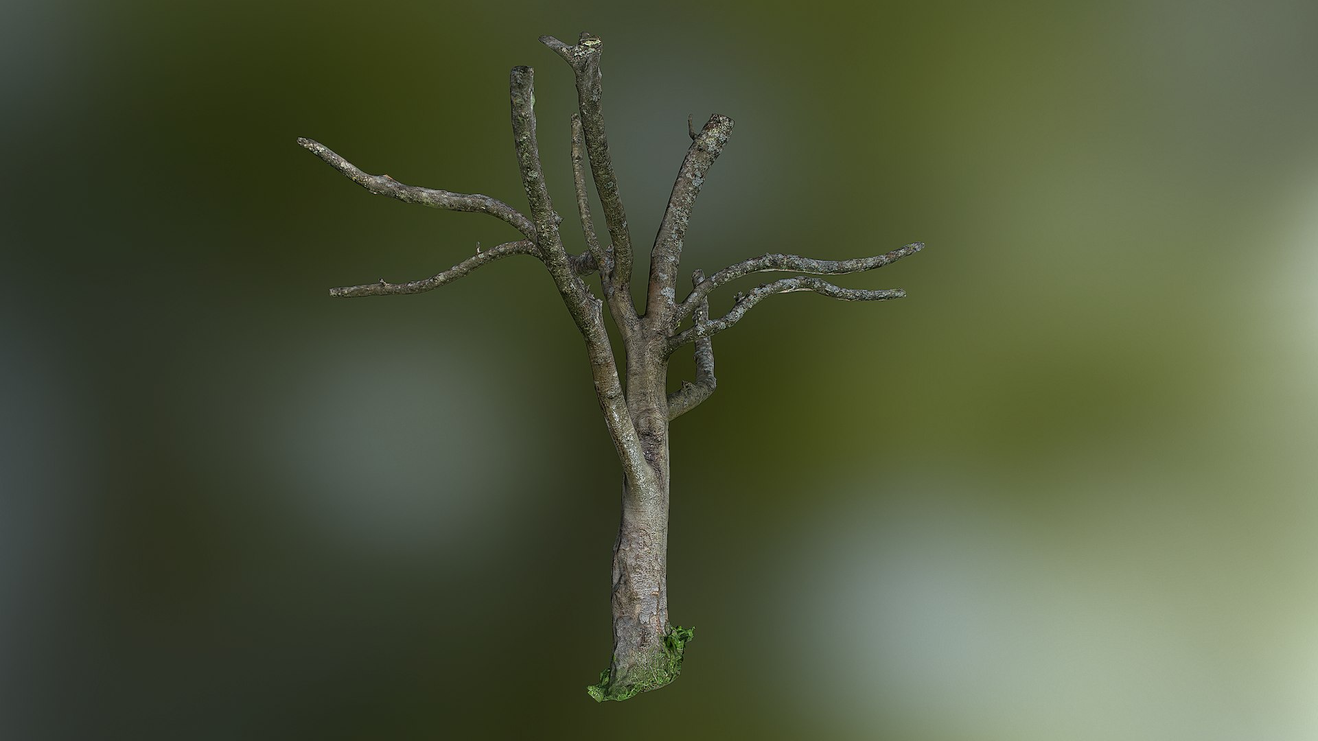 3D Model Games Tree - TurboSquid 1278516