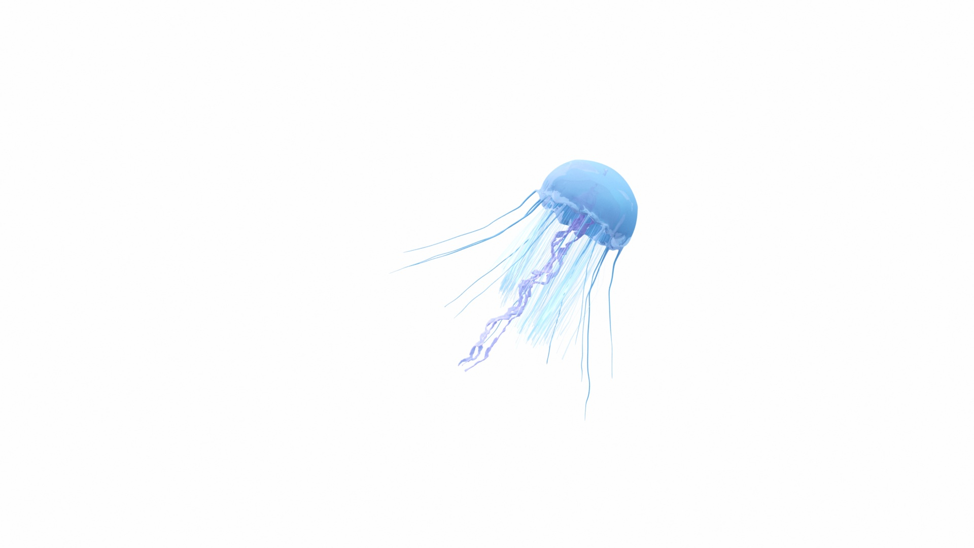 Realistic jelly fish 3D model - TurboSquid 1485887