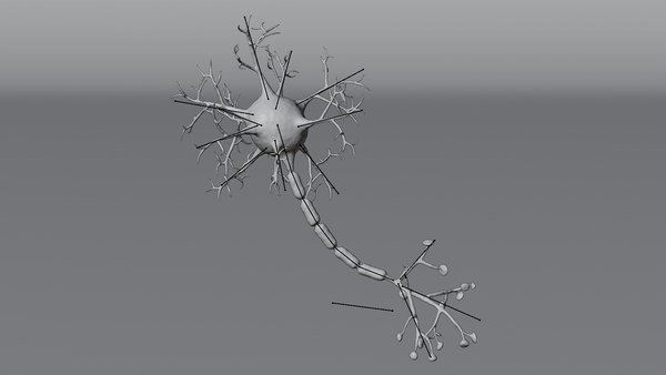 modelo 3d Neurona aparejada - TurboSquid 1770274