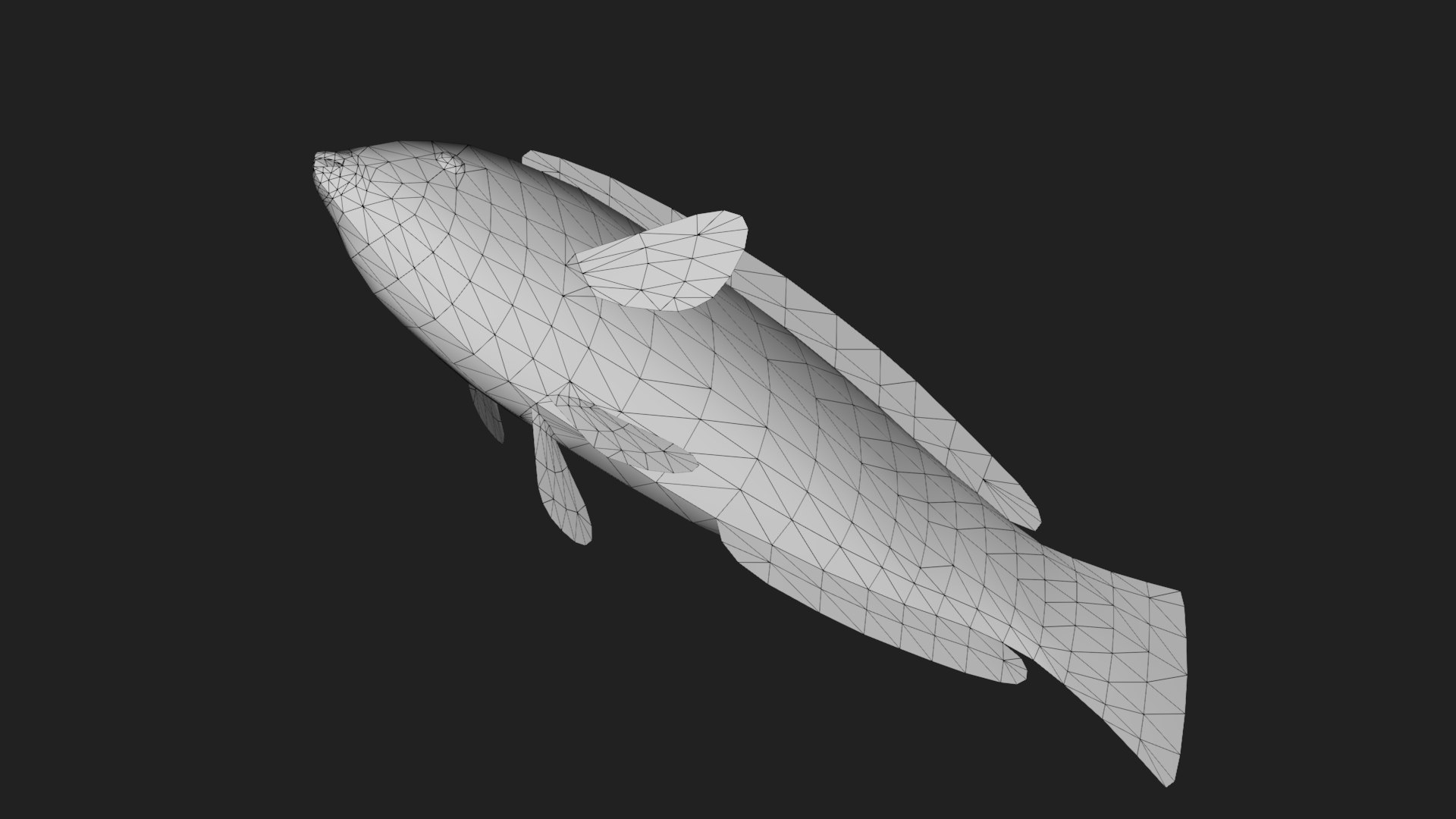Wrasse 3D Model - TurboSquid 2122911