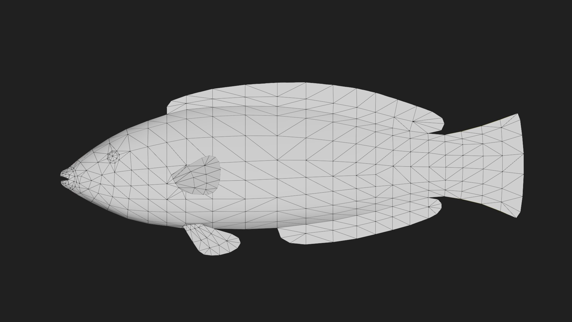 Wrasse 3D Model - TurboSquid 2122911