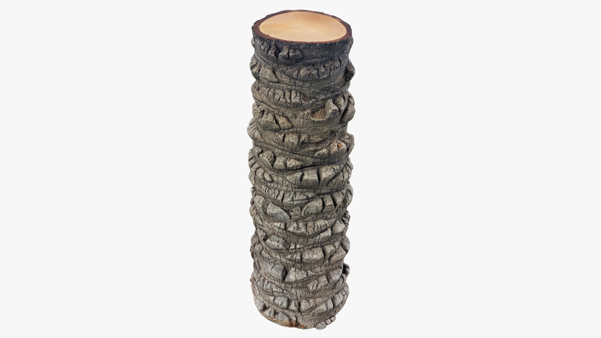 Palm Log V1 3D Model - TurboSquid 2161248