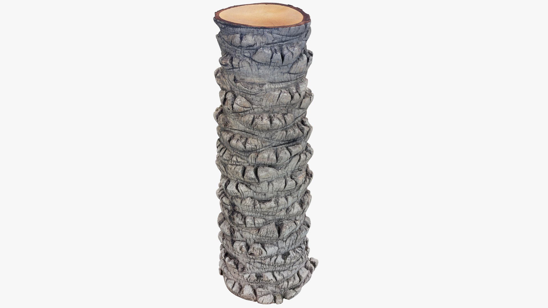 Palm Log V1 3D Model - TurboSquid 2161248