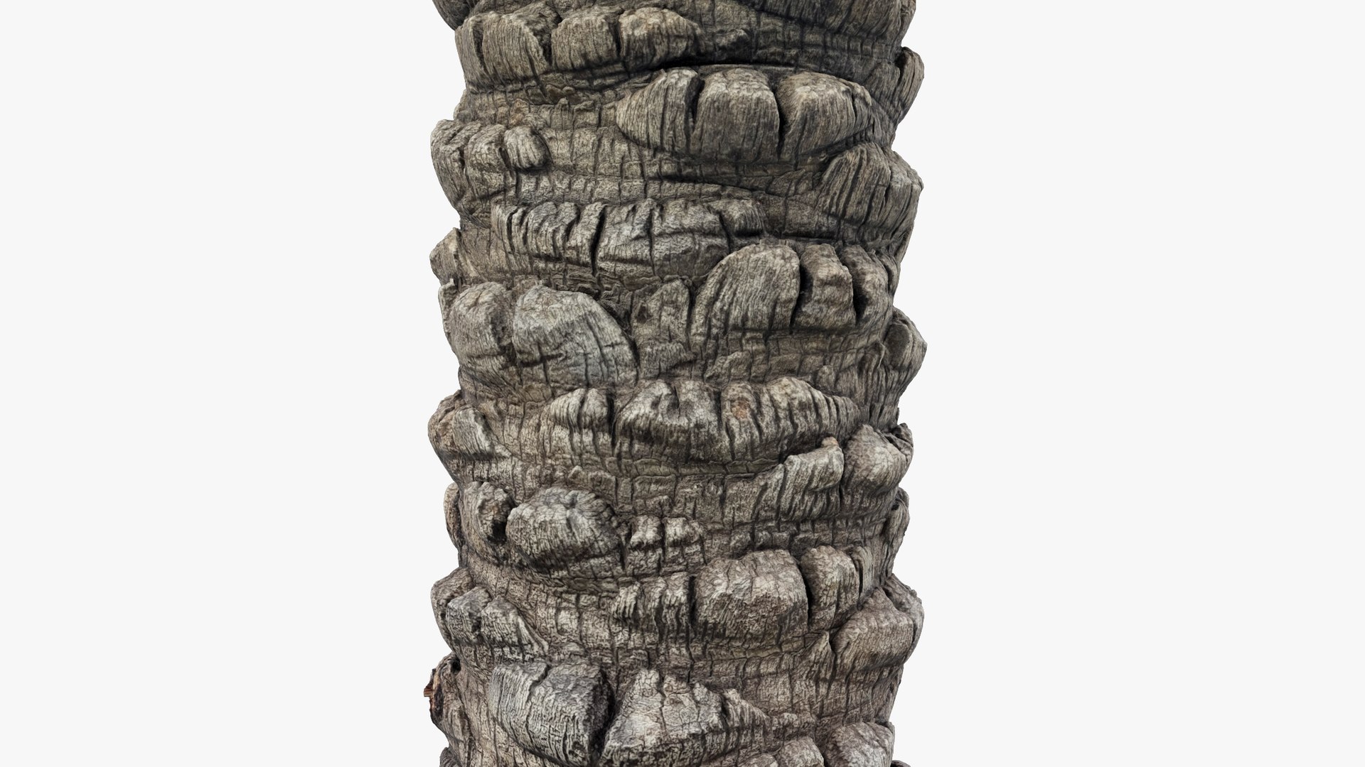 Palm Log V1 3D Model - TurboSquid 2161248