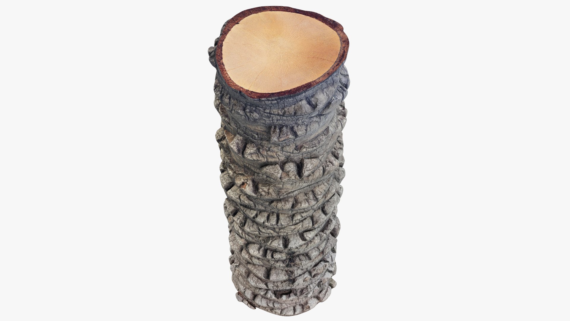 Palm Log V1 3D Model - TurboSquid 2161248