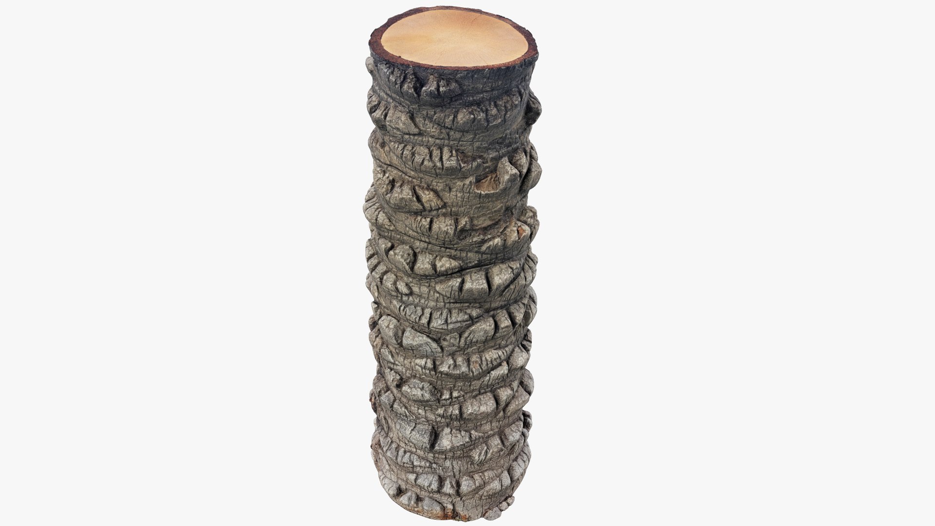 Palm Log V1 3D Model - TurboSquid 2161248