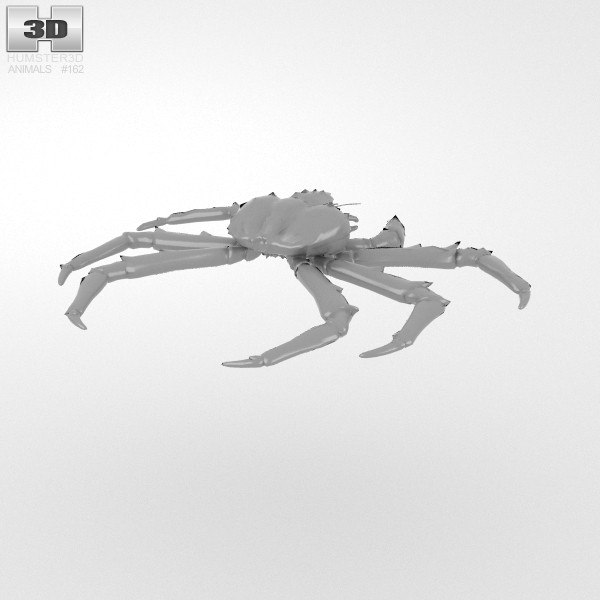 3d model red king crab