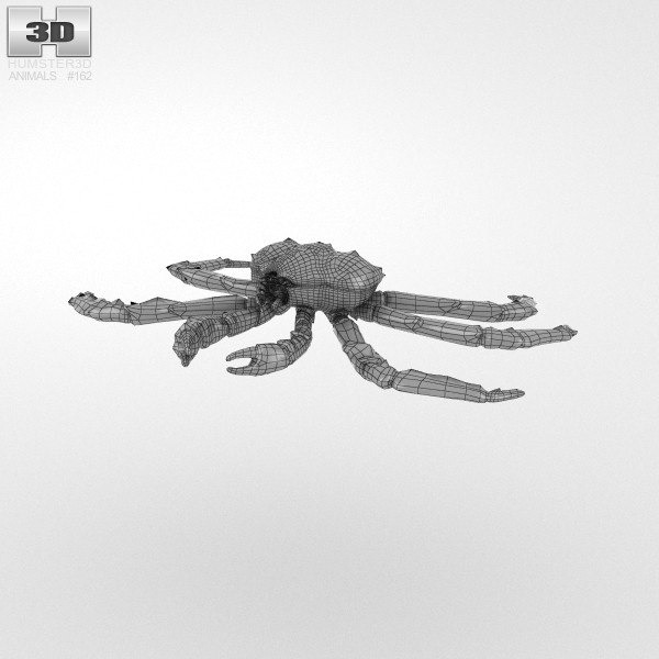 3d model red king crab