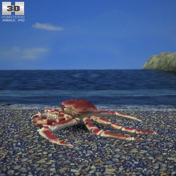 3d model red king crab