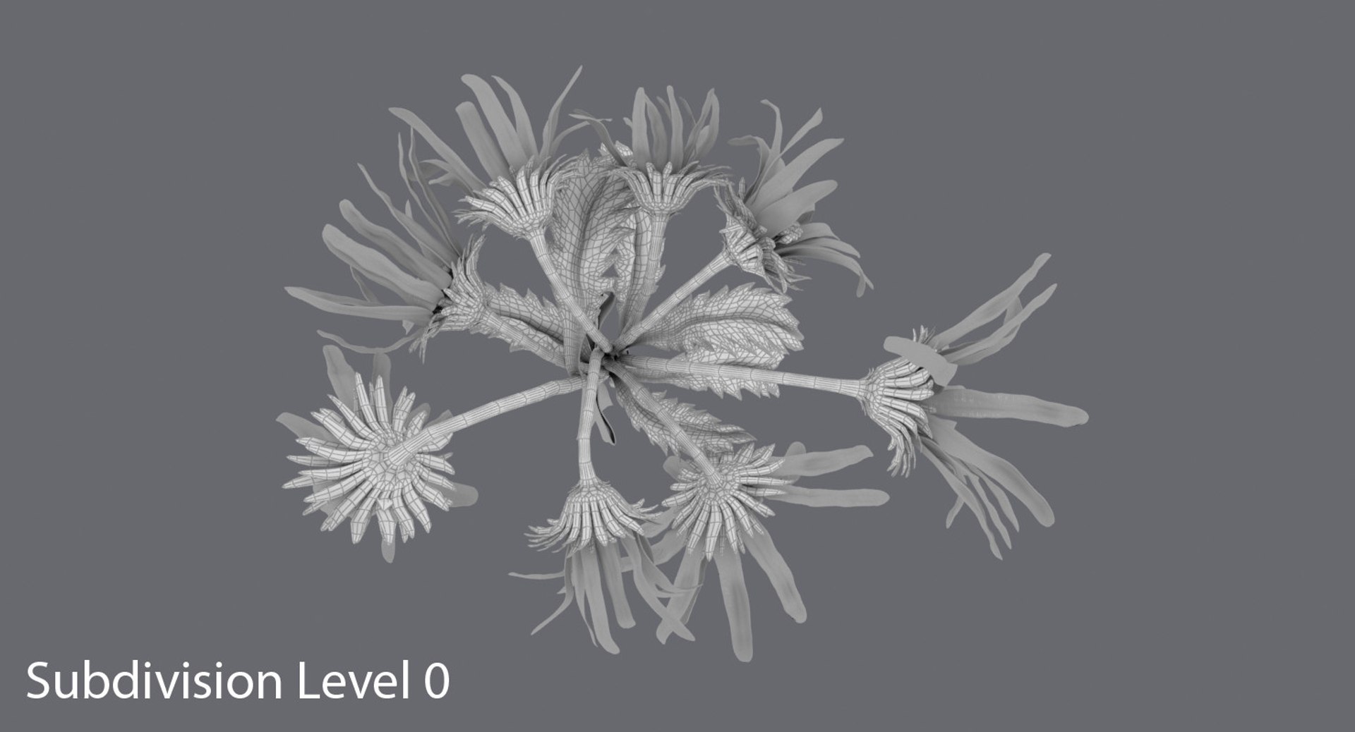 3d Dead Daisy Bouquet