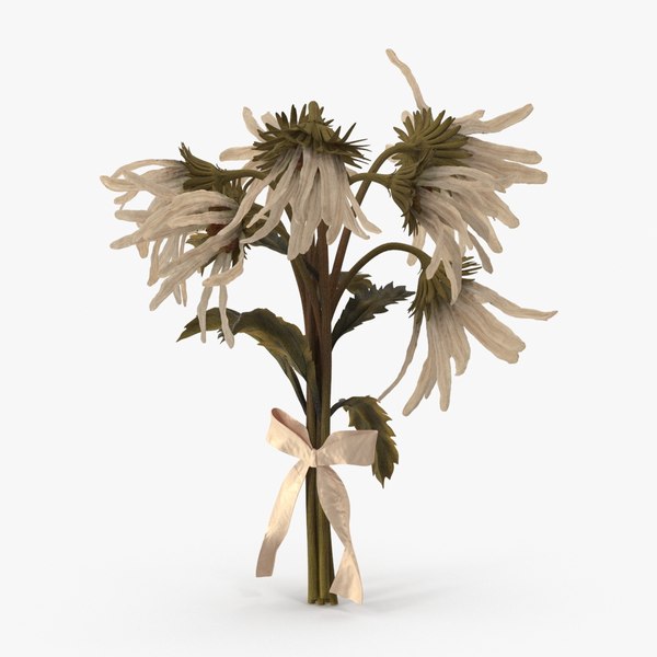 3d dead daisy bouquet