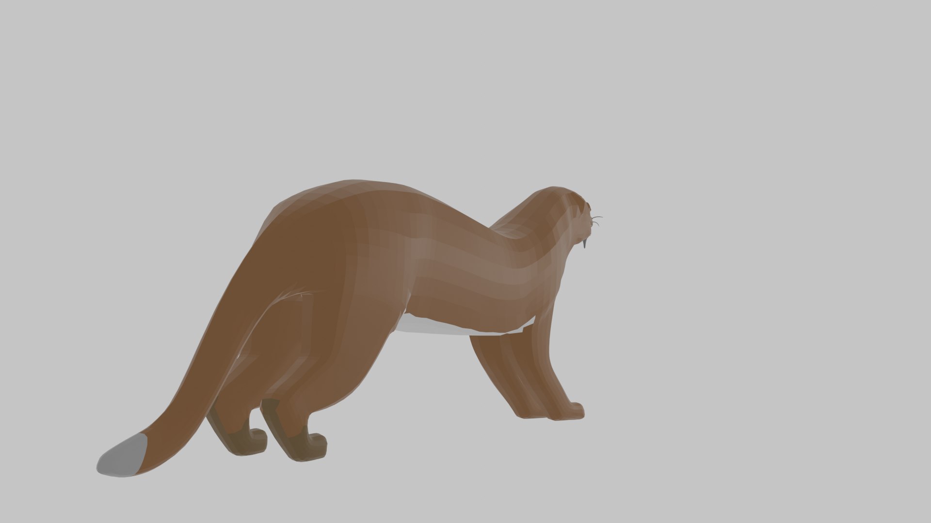 3D 3d Tayra And Basic Animation Model - TurboSquid 2250431