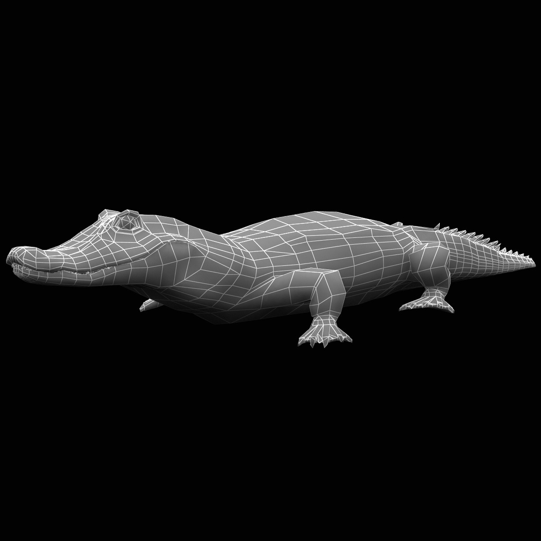 3d dwarf crocodile model