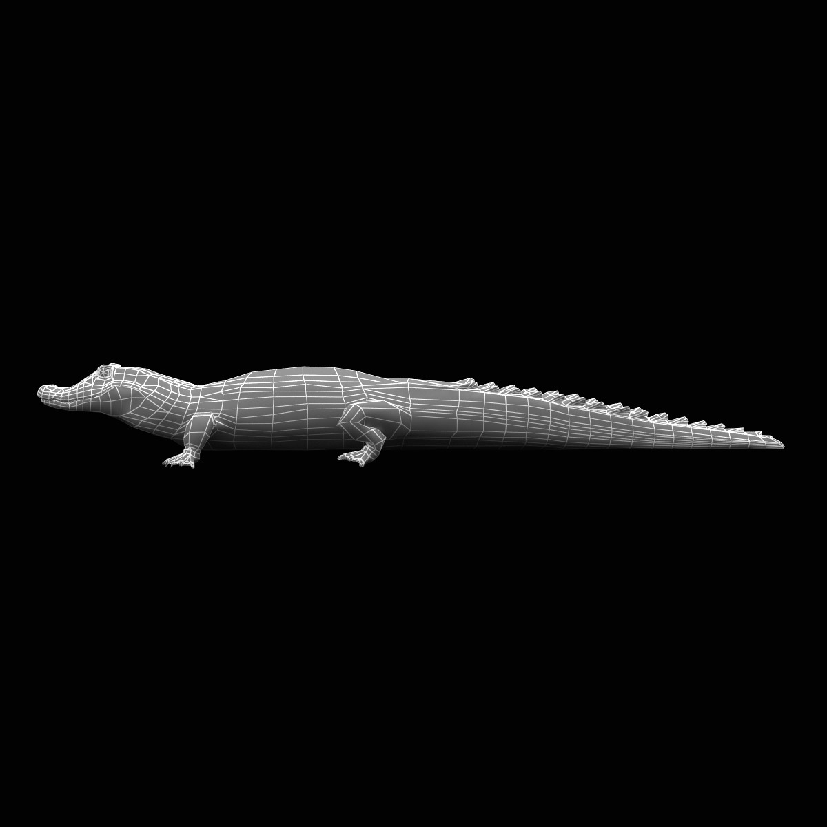 3d dwarf crocodile model