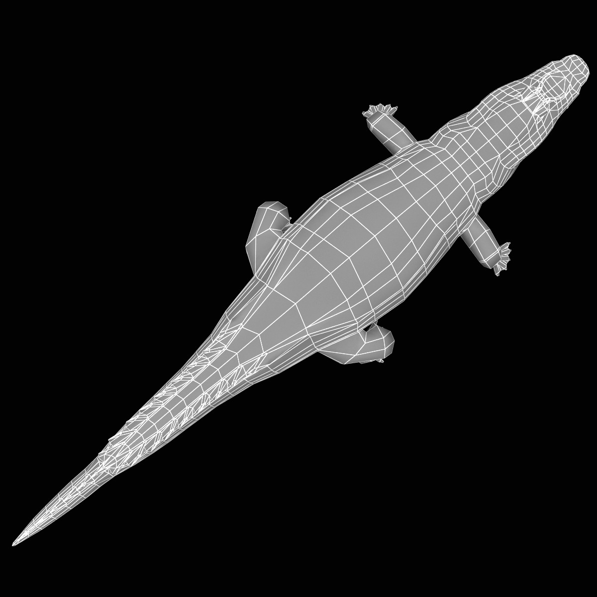 3d dwarf crocodile model