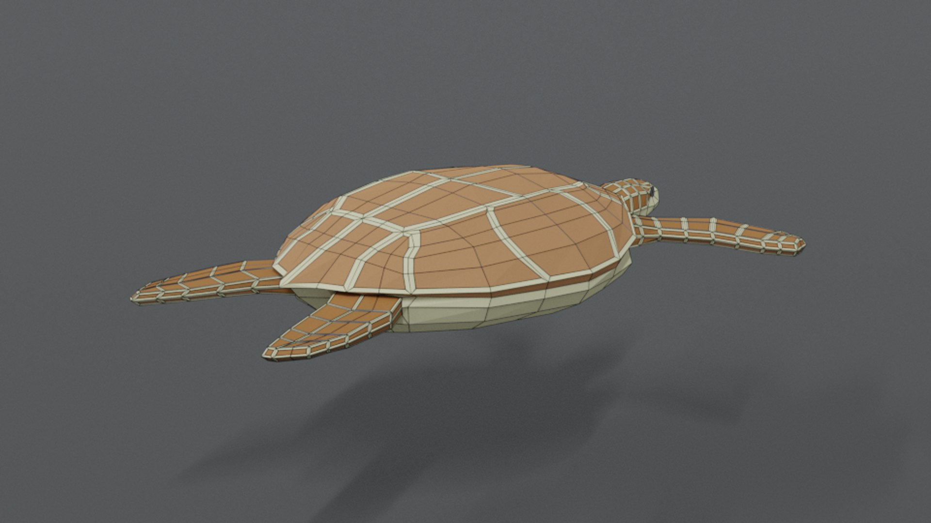 3D Loggerhead Sea Turtle - TurboSquid 1588433