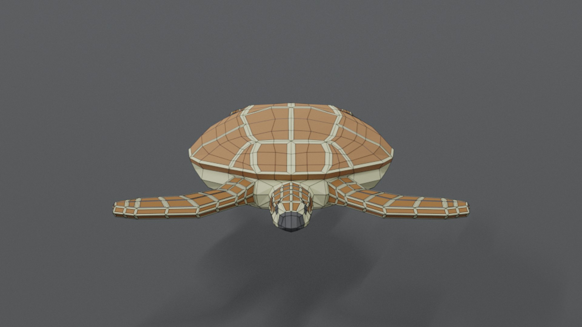 3D Loggerhead Sea Turtle - TurboSquid 1588433