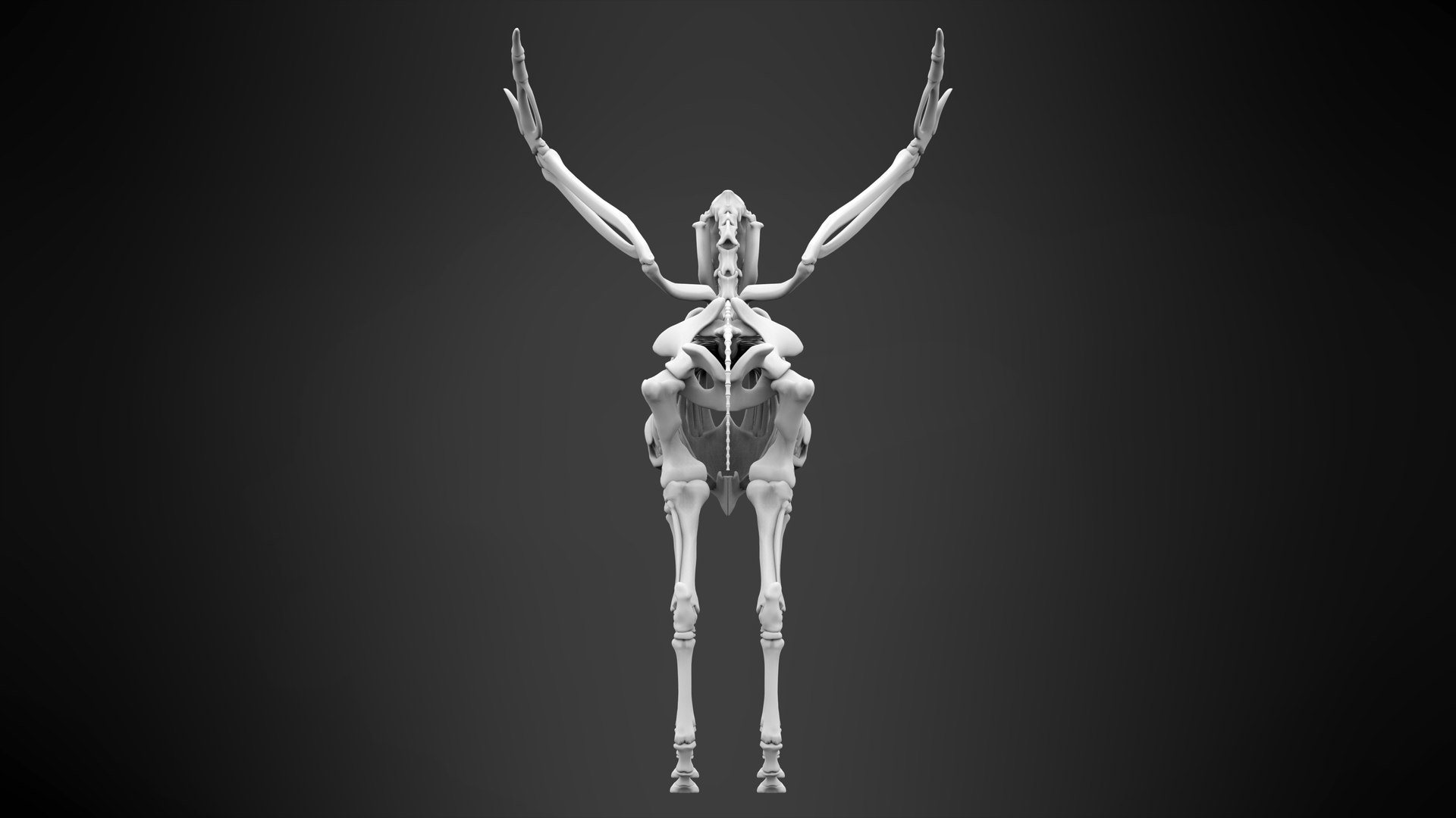 3D Pegasus Skeleton Model - TurboSquid 1524851