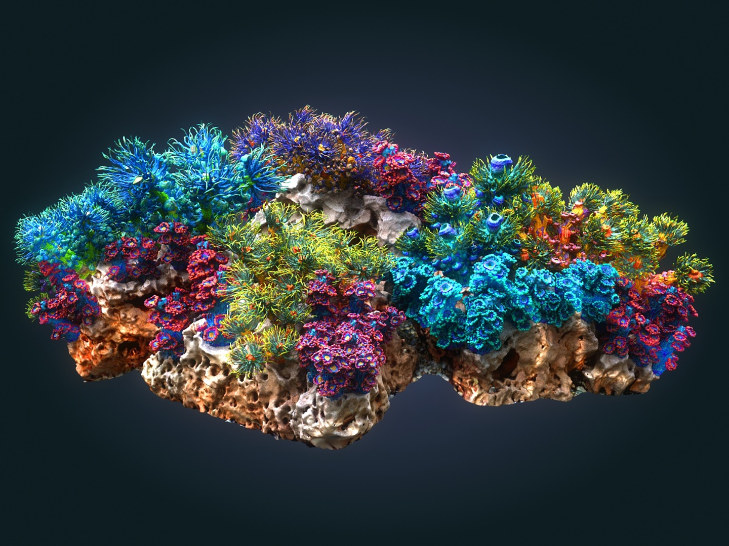 3D Coral Reef Ecosystem Model - TurboSquid 1366657