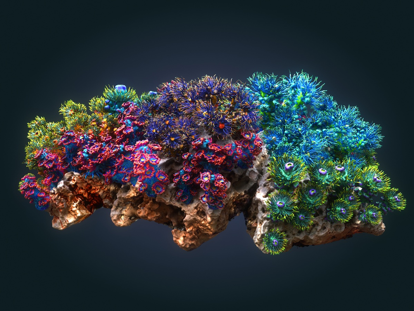 3D Coral Reef Ecosystem Model - TurboSquid 1366657
