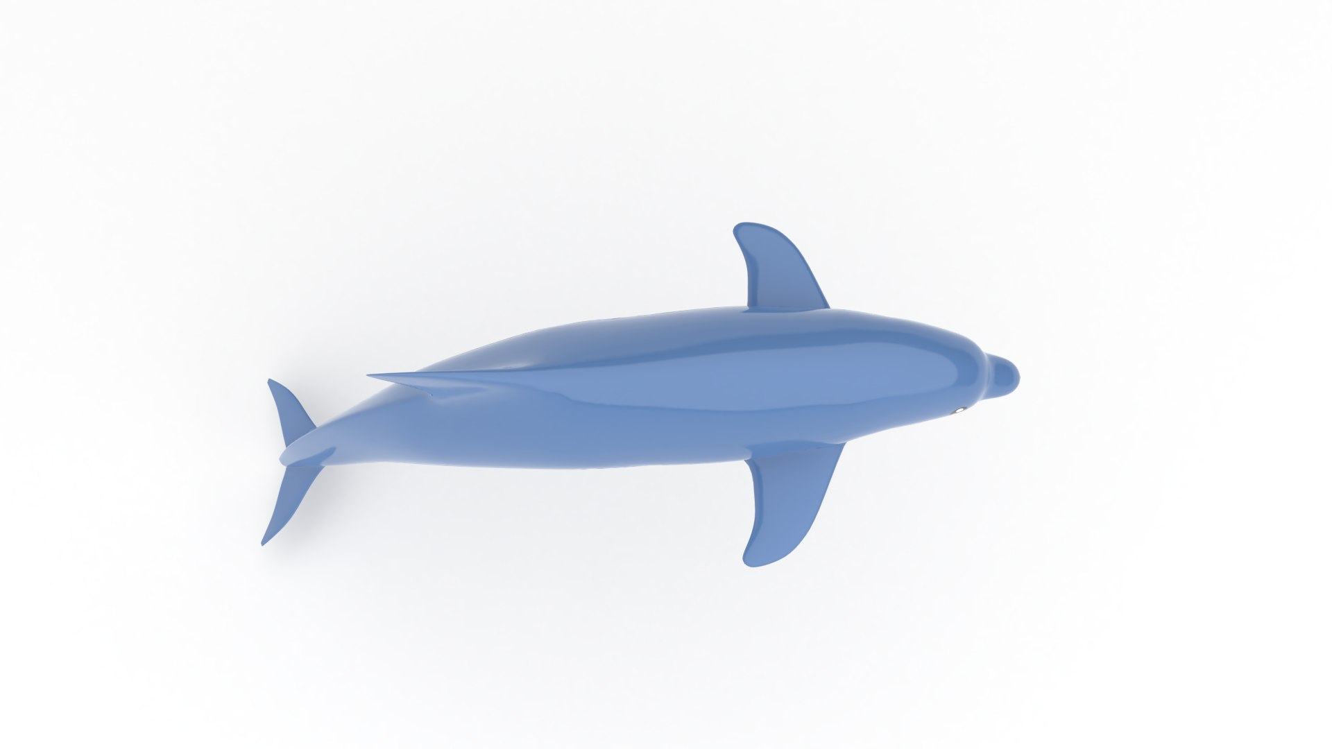 Free Dolphin 3D Model - TurboSquid 1296940
