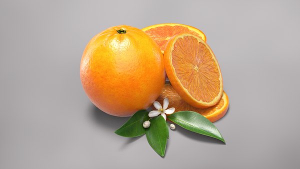 Oranges realistic real model - TurboSquid 1406374