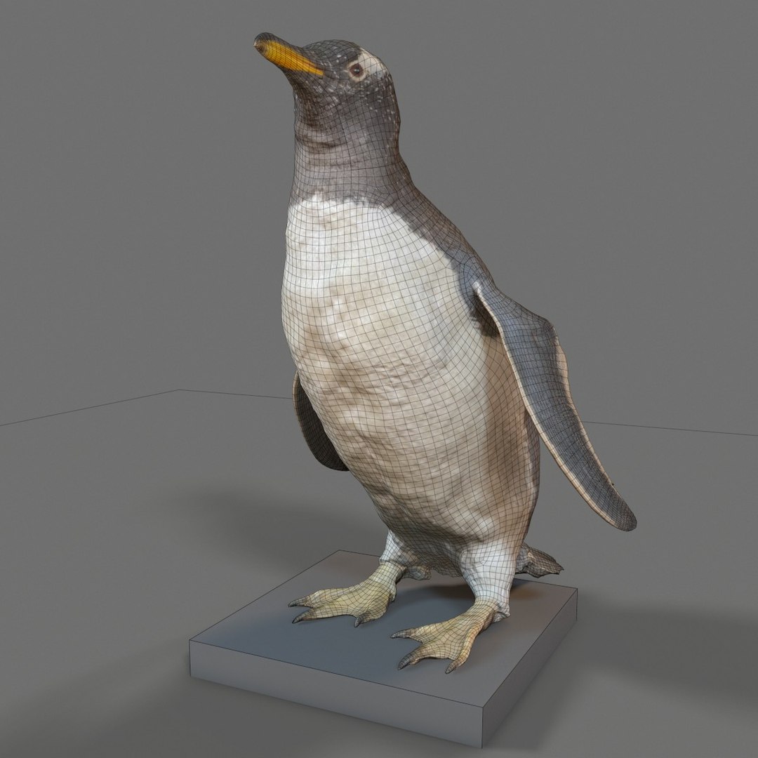 Animal scanned unity 3D model - TurboSquid 1171946