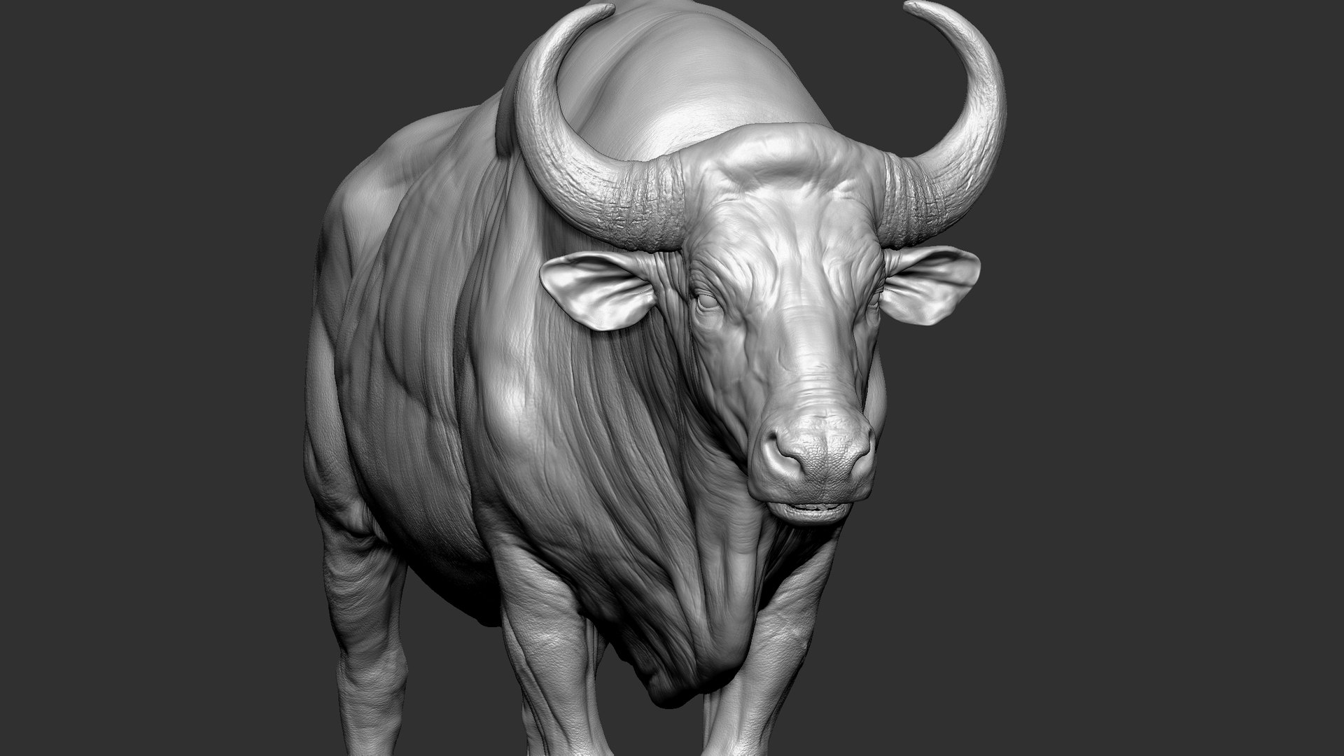 3D Model Gaur Bos Gaurus VFX Most Zbrush Sculpture Digitale ...