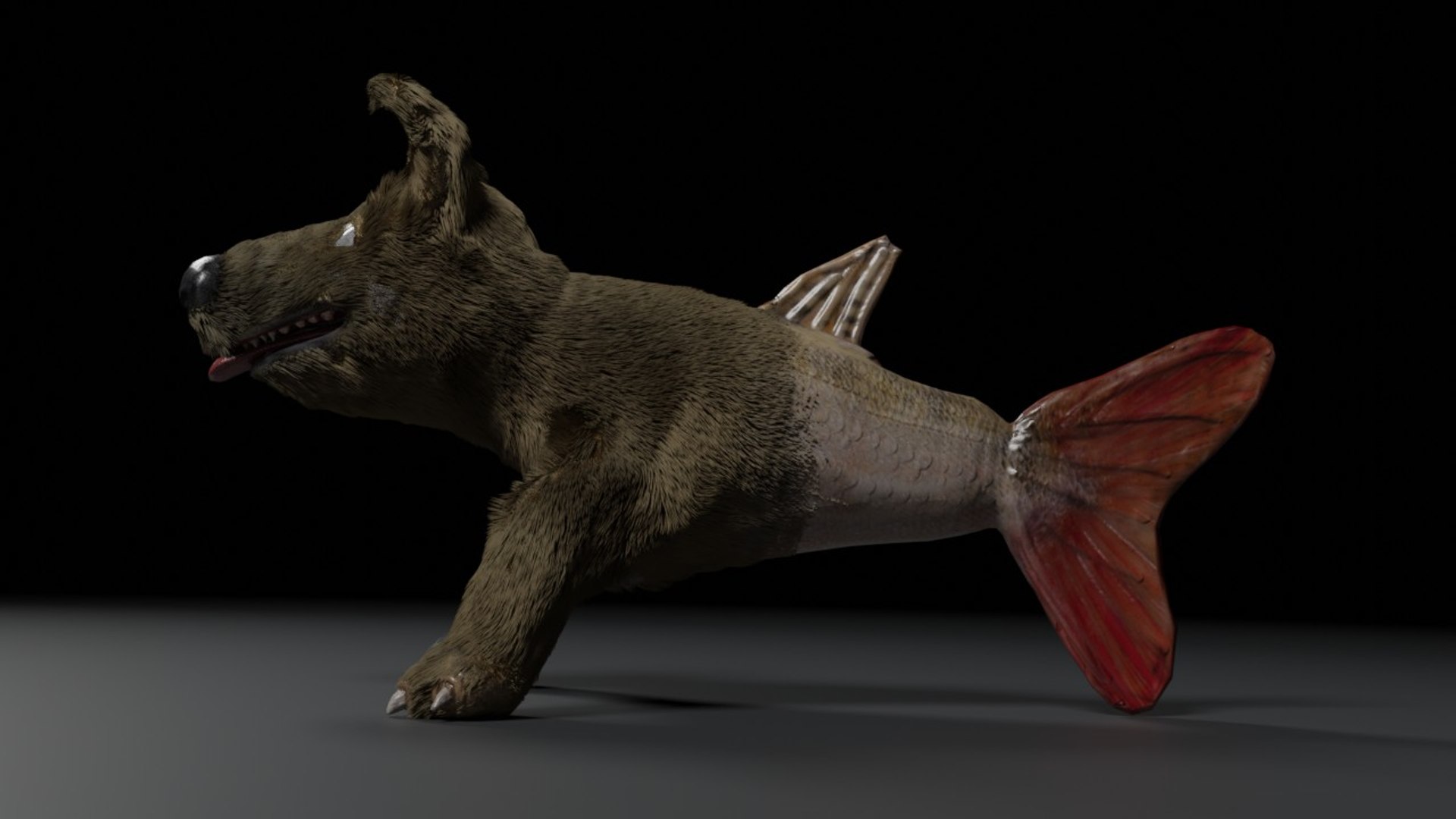3D Dogfish Animation Model - TurboSquid 1636990