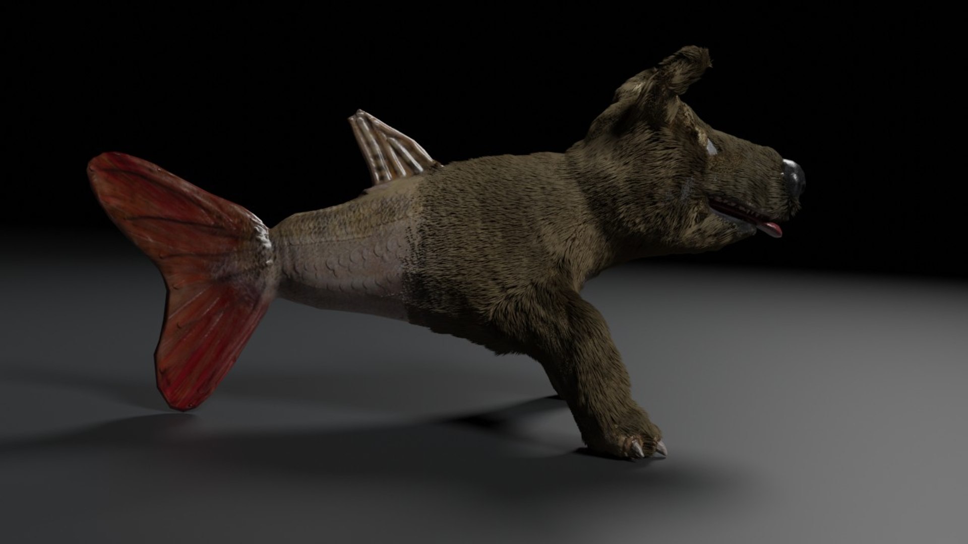 3D Dogfish Animation Model - TurboSquid 1636990