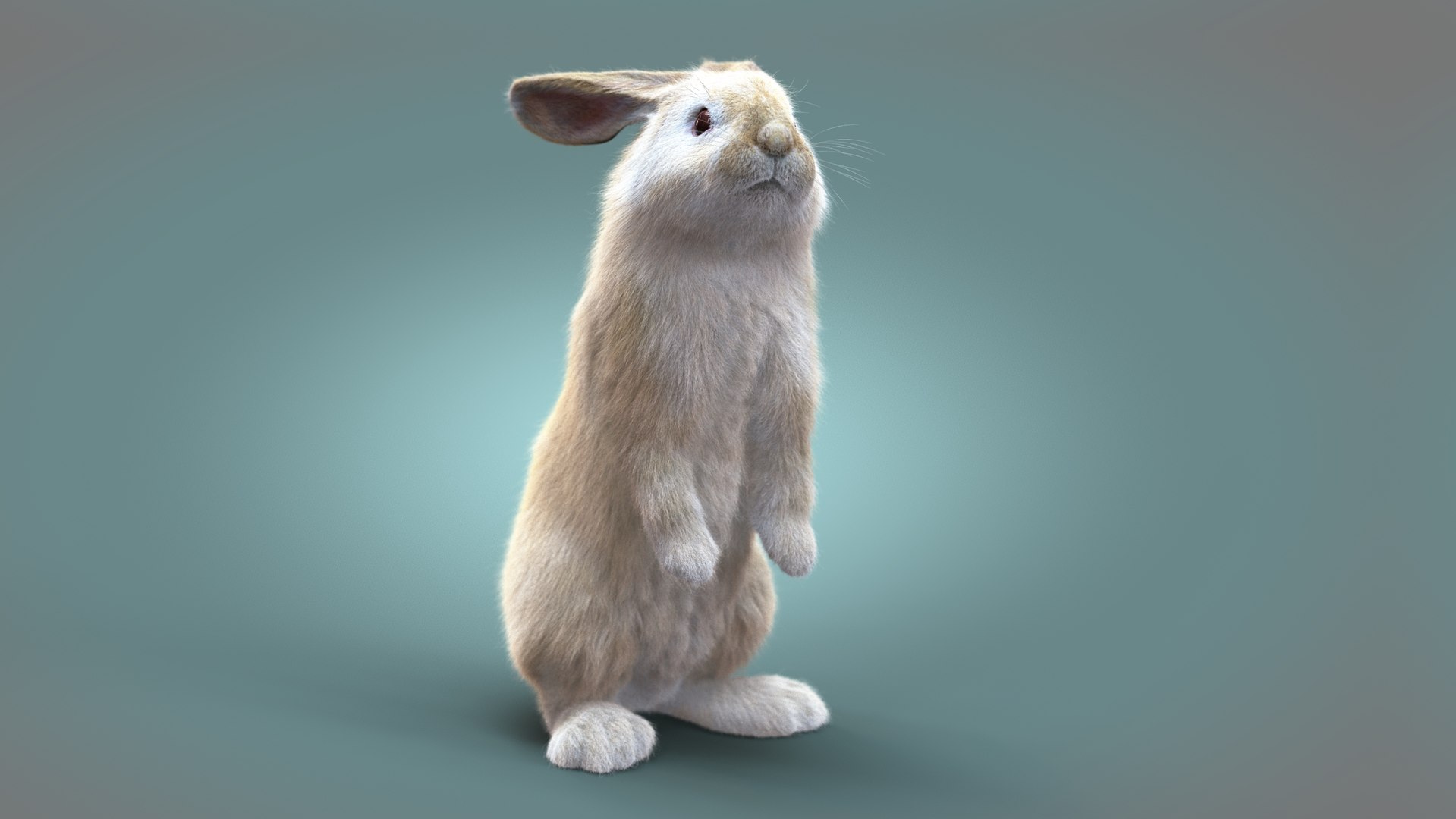 Rabbit Cream RIG XGEN 3D - TurboSquid 2163503