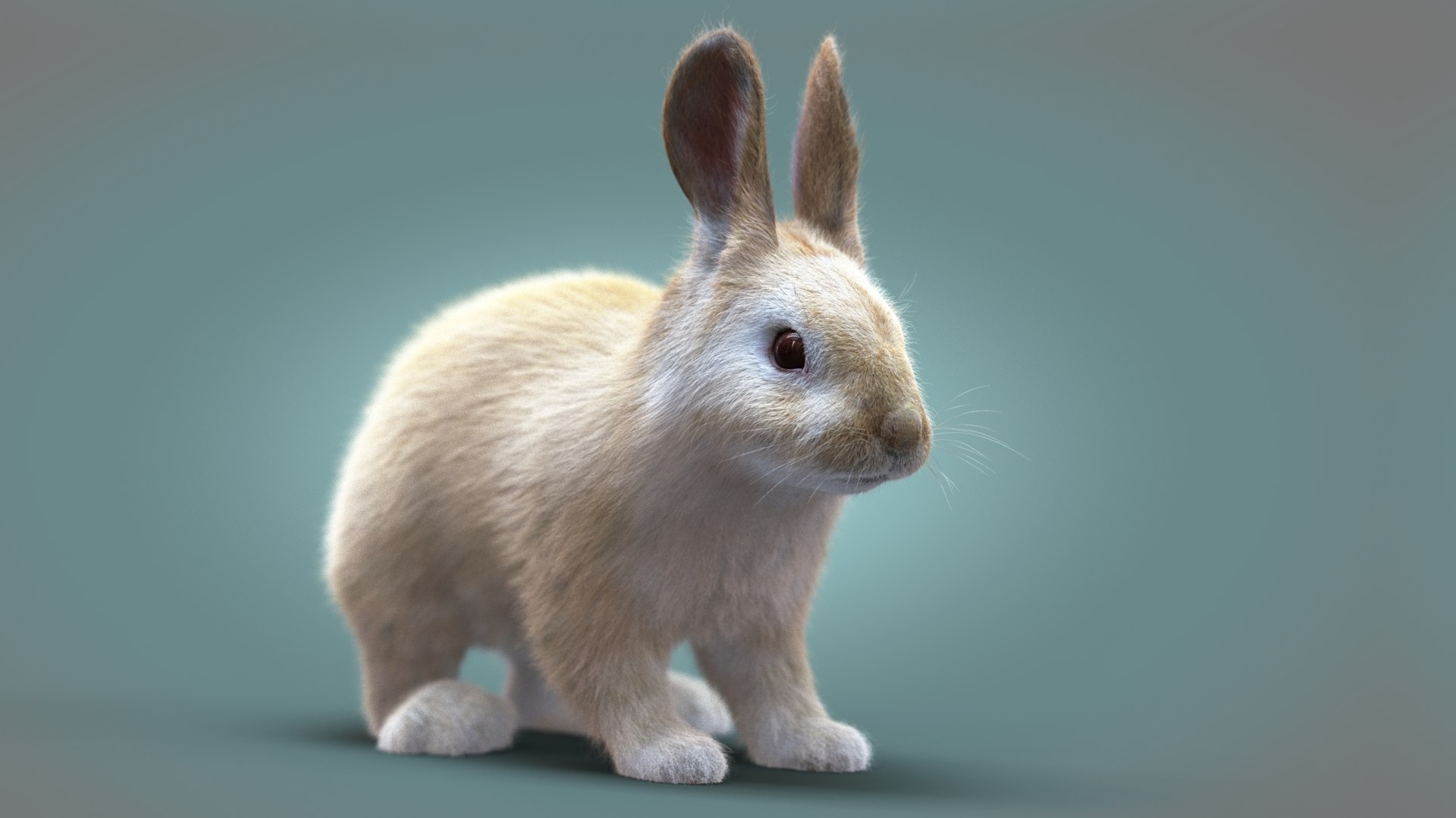 Rabbit Cream RIG XGEN 3D - TurboSquid 2163503