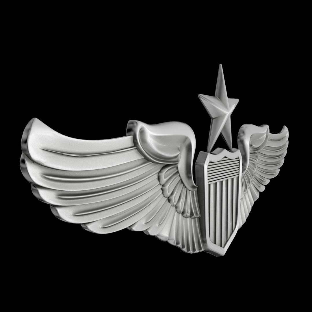 Senior Pilot Usaf Wings Model - TurboSquid 1291901