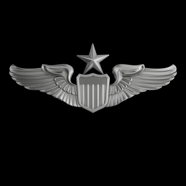 3d model air force pilot badge