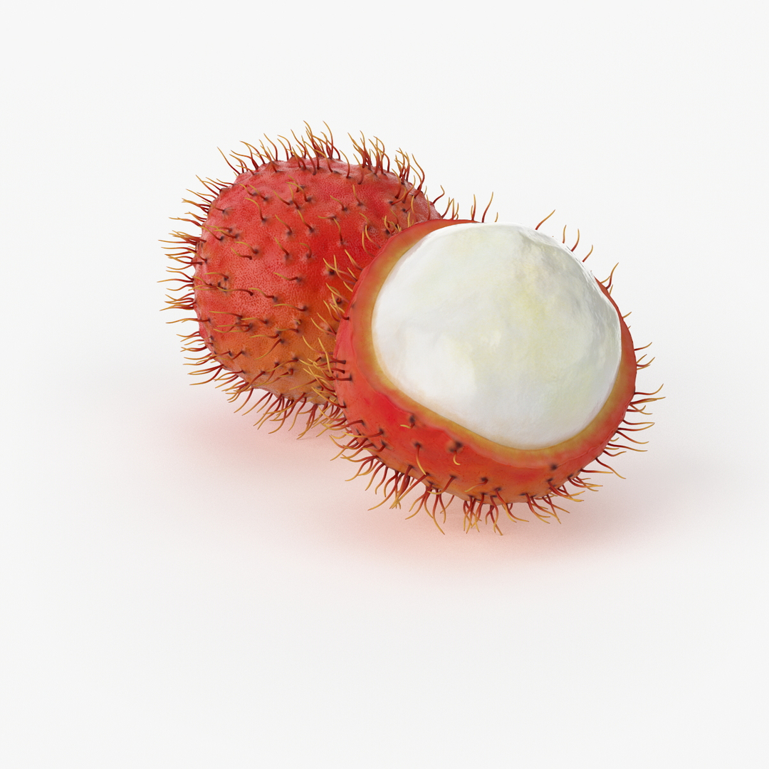 realistic rambutan fruit real 3d model