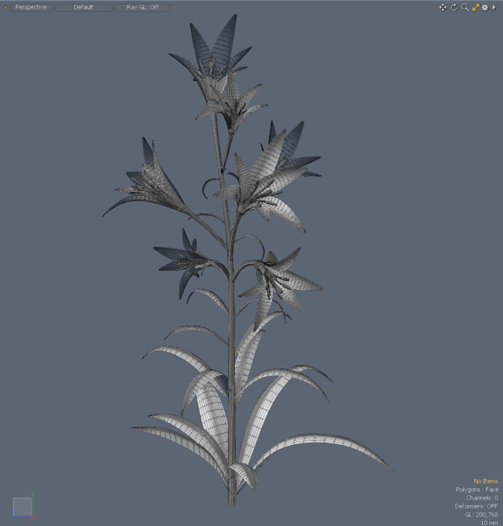 3d Lily Flower Model