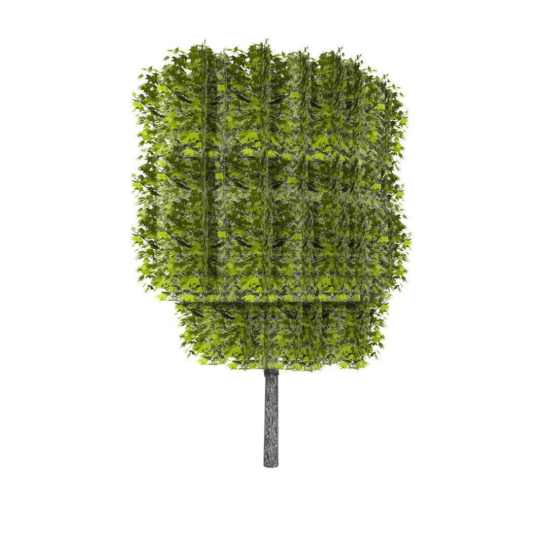 Pc Tree 3d Model