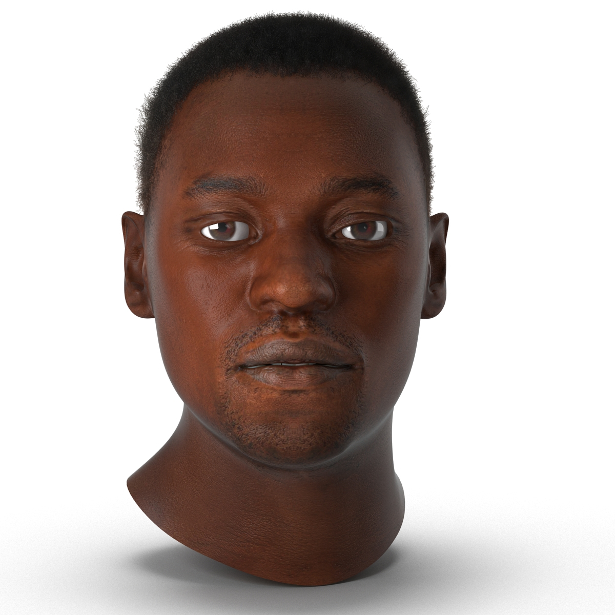 african american male head 3d max