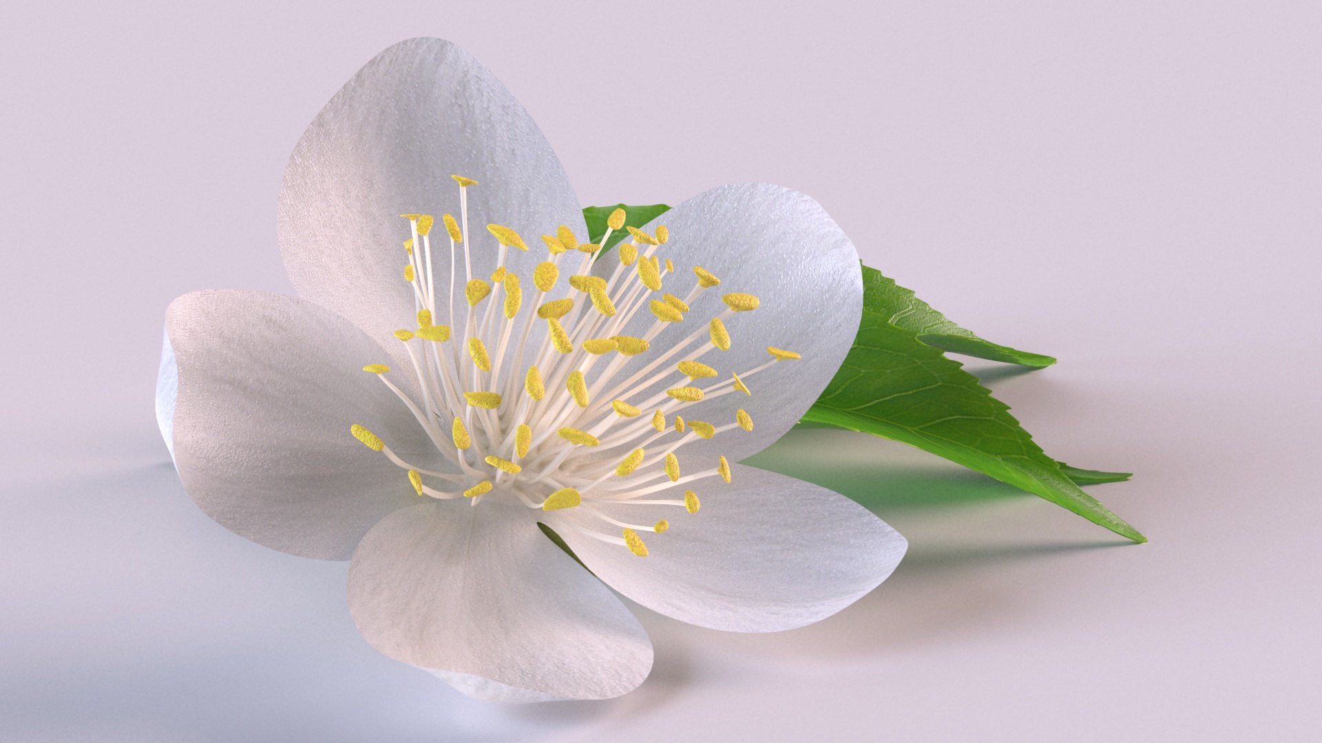 Flower Tea 3D Model - TurboSquid 1682709