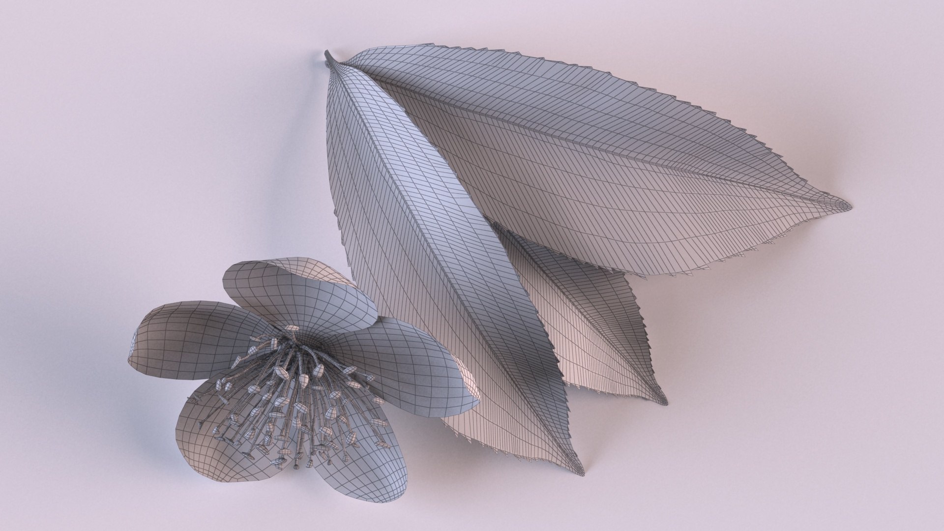 Flower Tea 3D Model - TurboSquid 1682709
