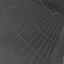 3D Spider Web Letter - TurboSquid 1319380