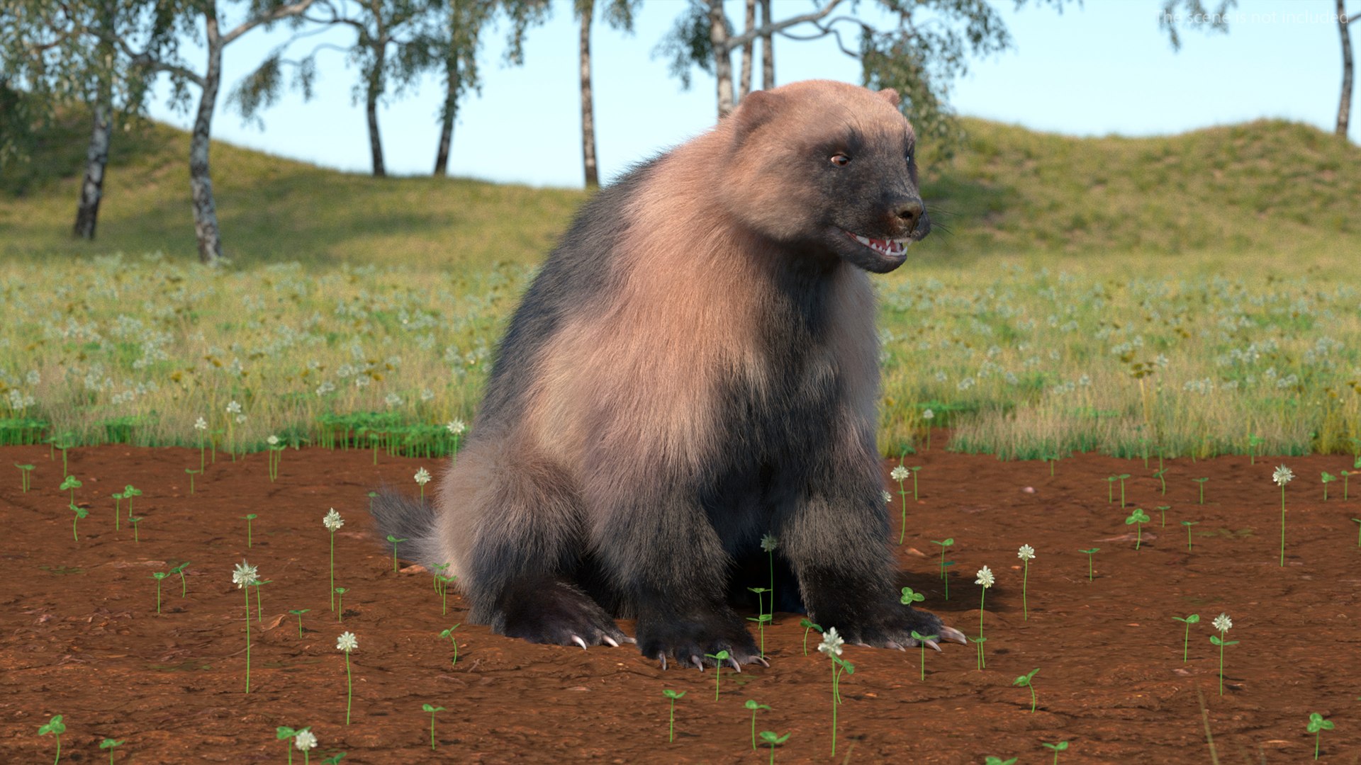 Wolverine Light Color Sitting Pose Fur 3D Model - TurboSquid 2158250