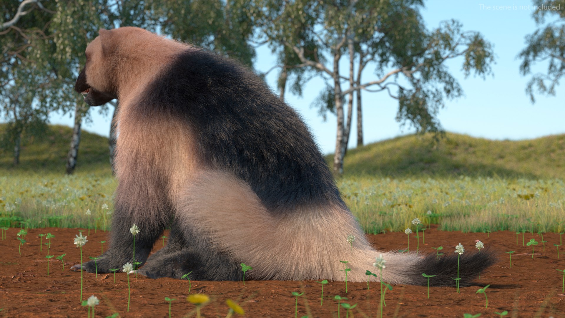 Wolverine Light Color Sitting Pose Fur 3D Model - TurboSquid 2158250