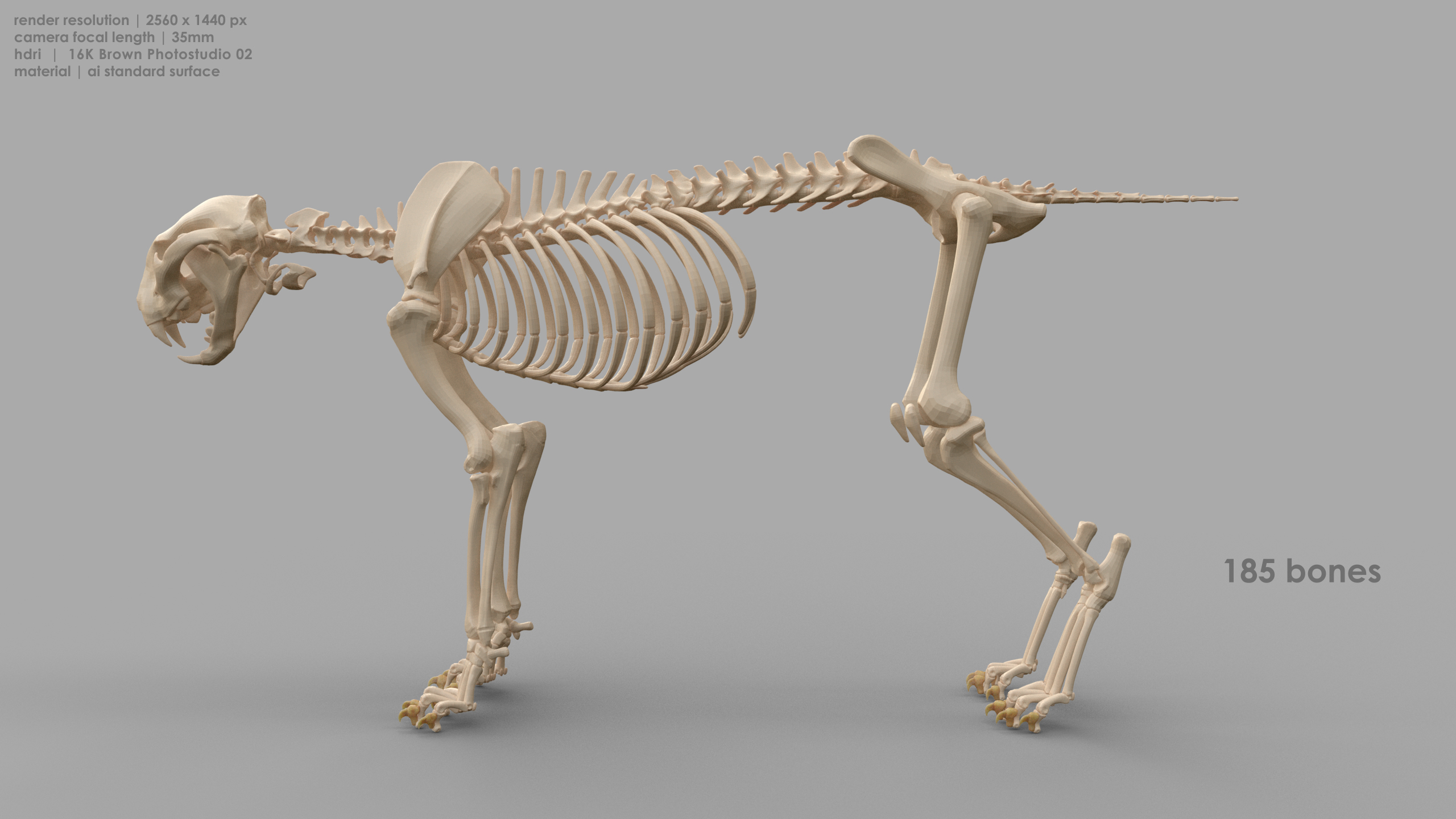 Groom Ready Iberian Lynx with Texture Maps Animation Topology UDIMs ...