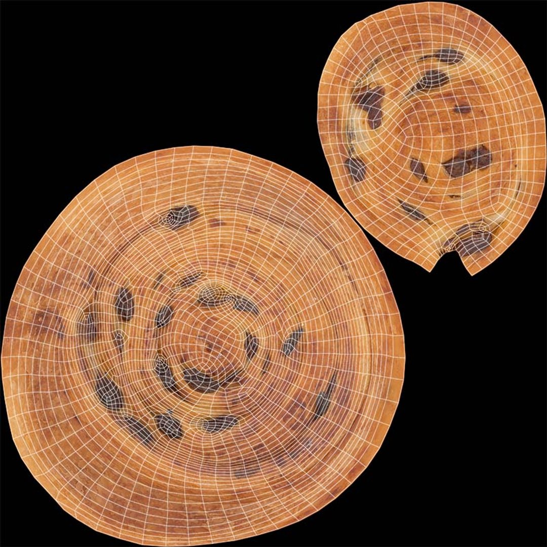 3D Round Raisin Remastered - TurboSquid 2362192